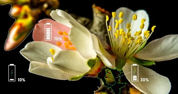 AOTO Ushers in a New Era of Energy-Efficient LED Displays: A ...